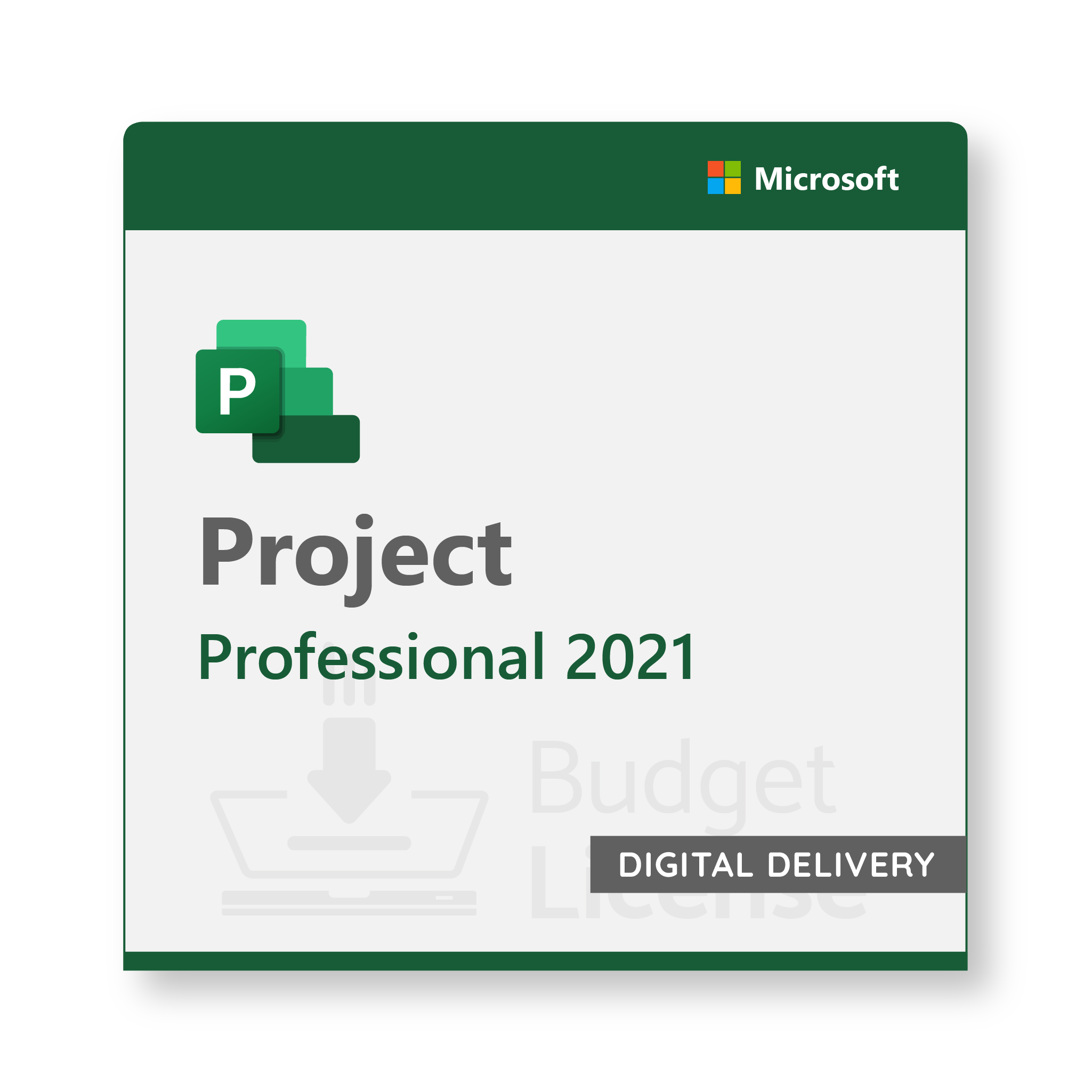 Project 2021 Professional - Digital Delivery – BudgetLicense