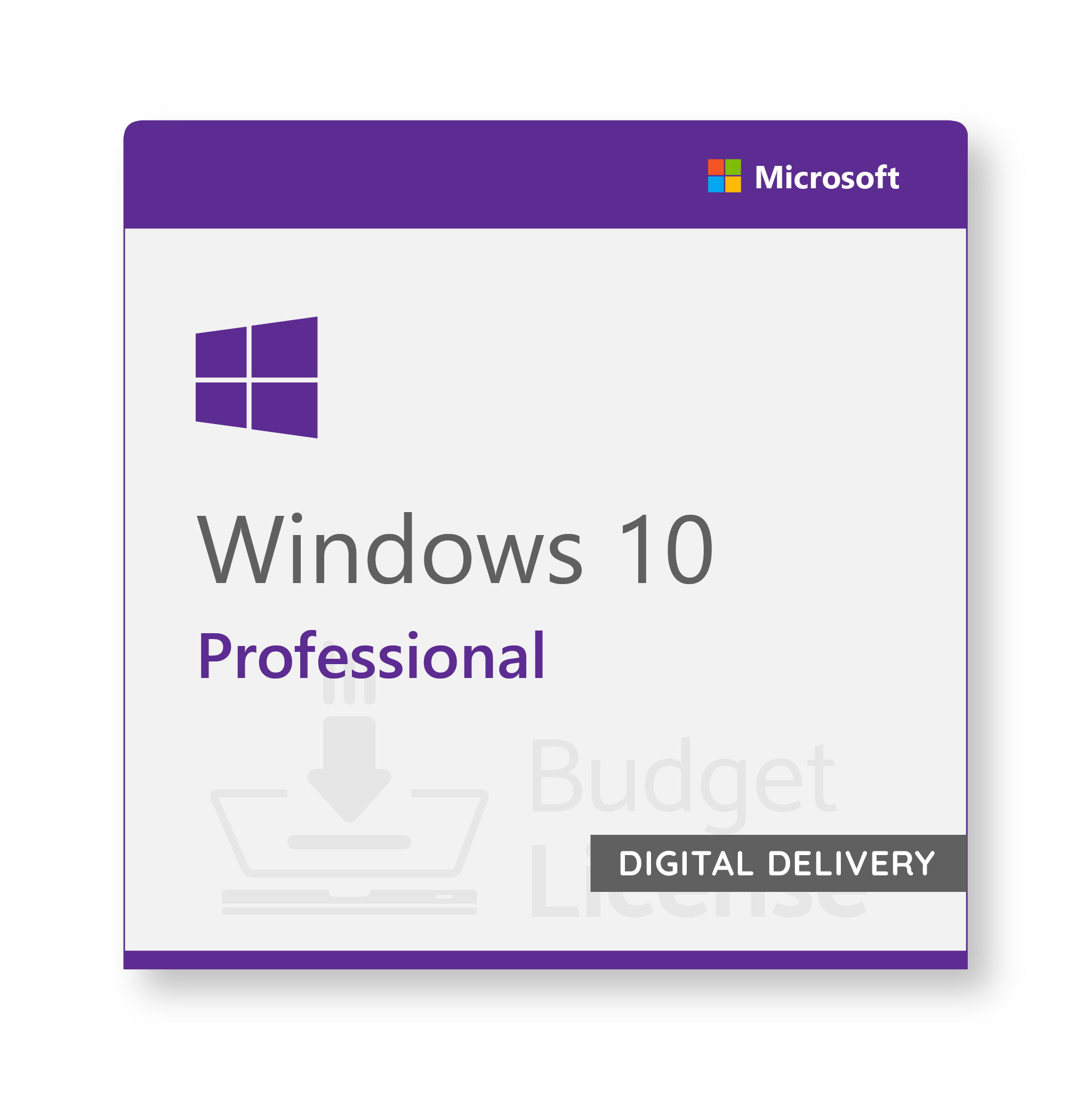Windows 10 Professional - Digital Delivery – BudgetLicense