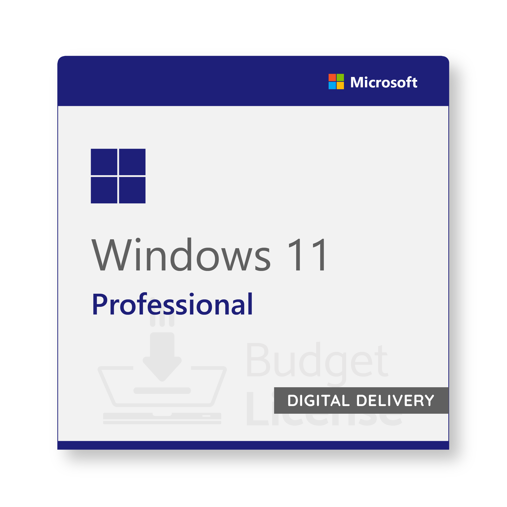 Windows 11 Professional - Digital Delivery – BudgetLicense