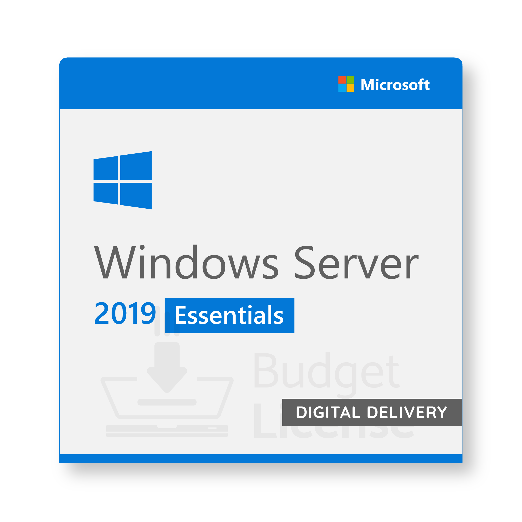 Windows Server 2019 Essentials - Digital Delivery – BudgetLicense